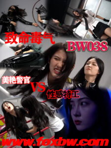 ALL VIDEOS（所有视频） – FOXBW