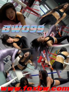 ALL VIDEOS（所有视频） – FOXBW