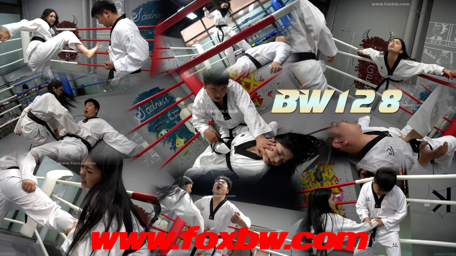 ALL VIDEOS（所有视频） – Page 2 – FOXBW