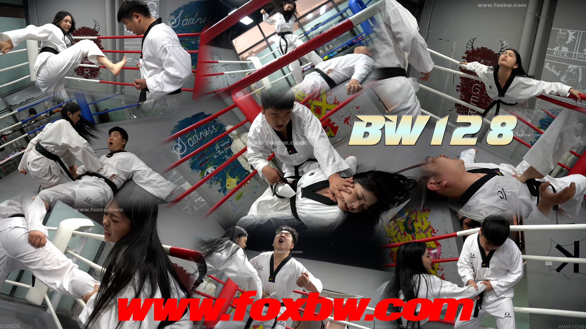 ALL VIDEOS（所有视频） – Page 2 – FOXBW