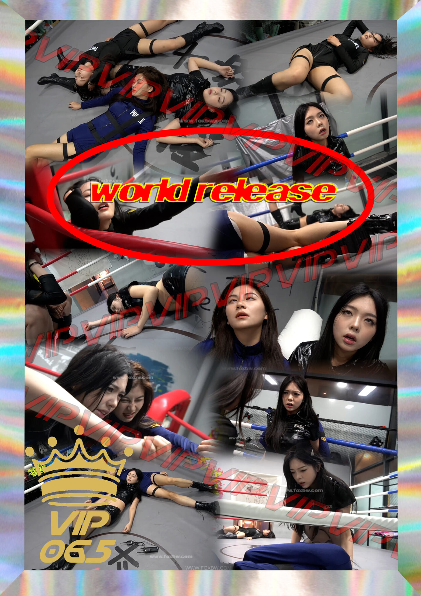 ALL VIDEOS（所有视频） – Page 3 – FOXBW