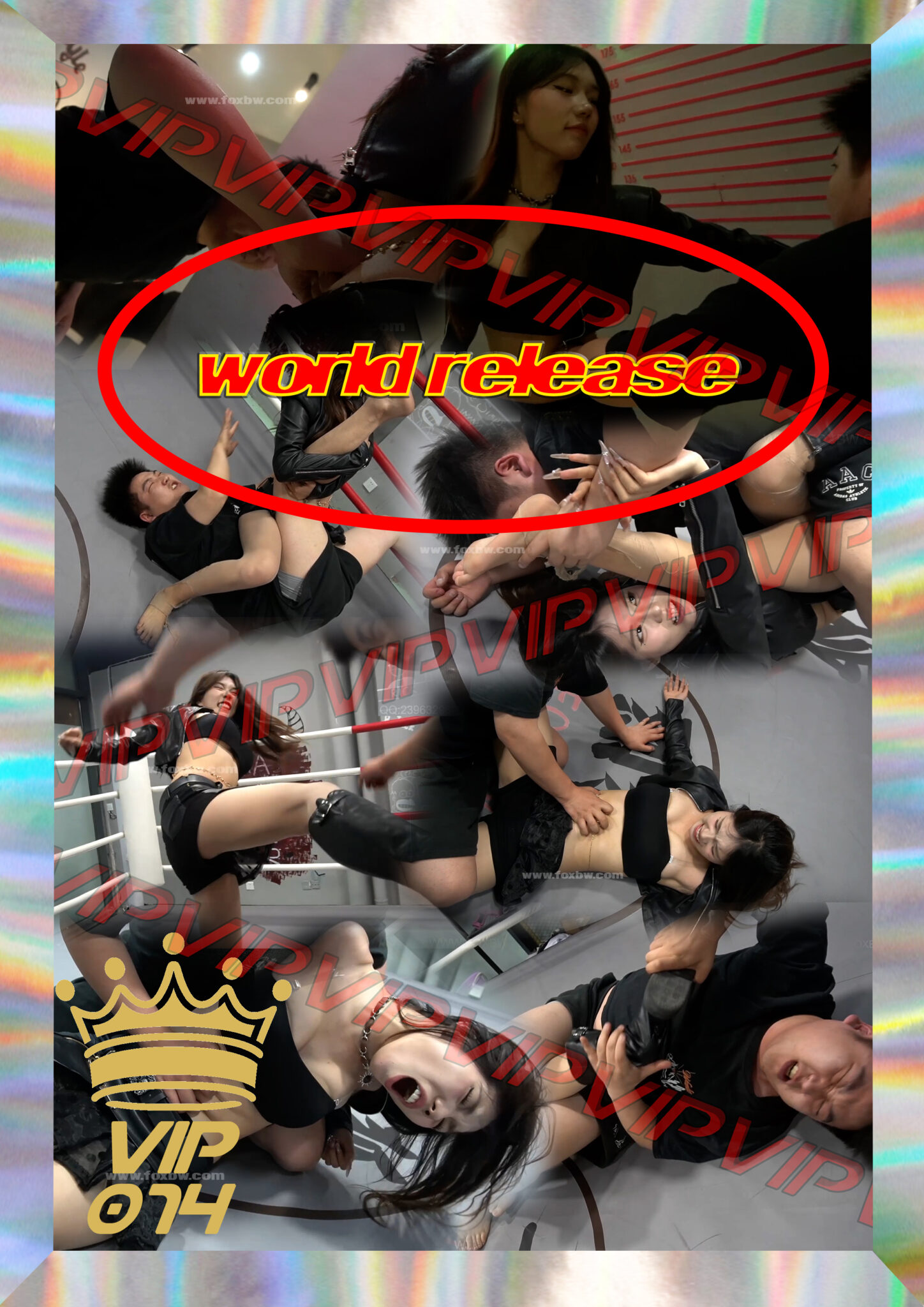 ALL VIDEOS（所有视频） – FOXBW